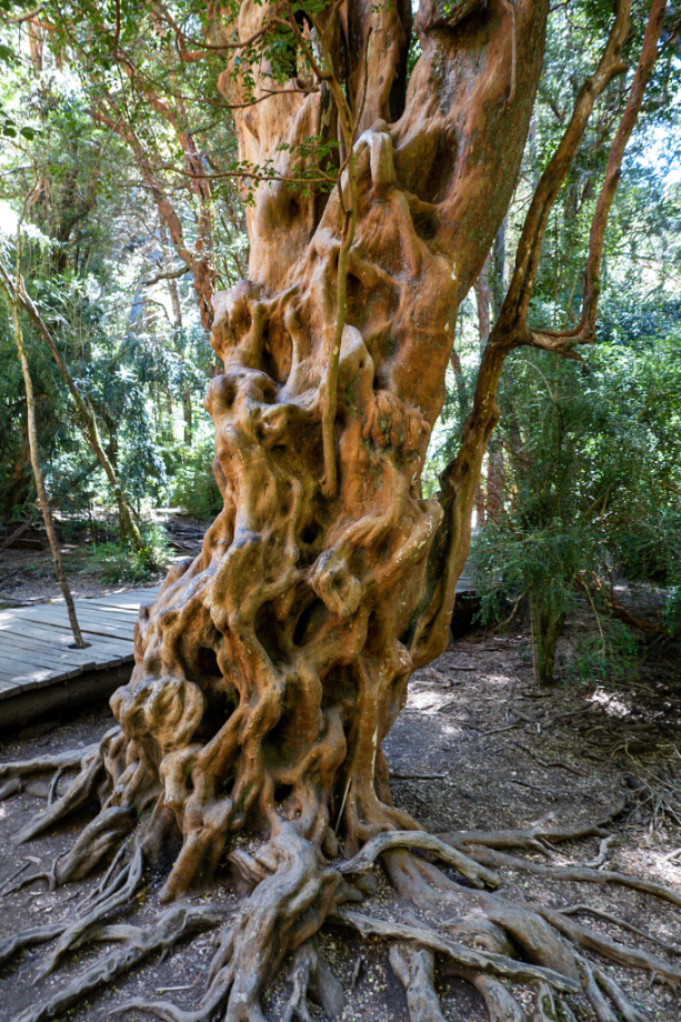 Land Of Lakes, Beer & Chocolate – Travel & Shit